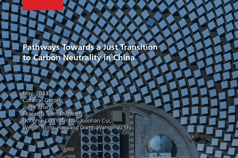 Publication: Pathways Towards a Just Transition to Carbon Neutrality in ...